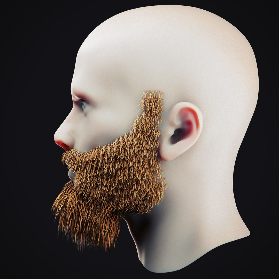 Beard 13 3D Model - TurboSquid 1489867