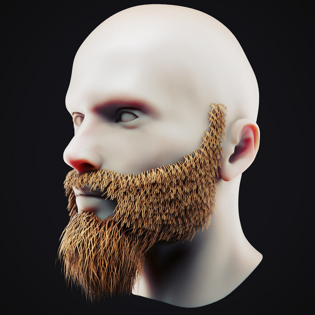 Beard 13 3D Model - TurboSquid 1489867