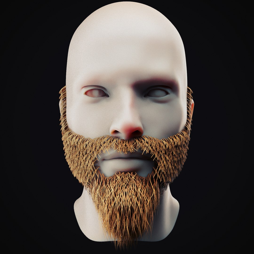 Beard 13 3D Model - TurboSquid 1489867