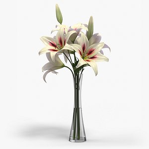 3D Lily Models - Browse & Download Formats - TurboSquid