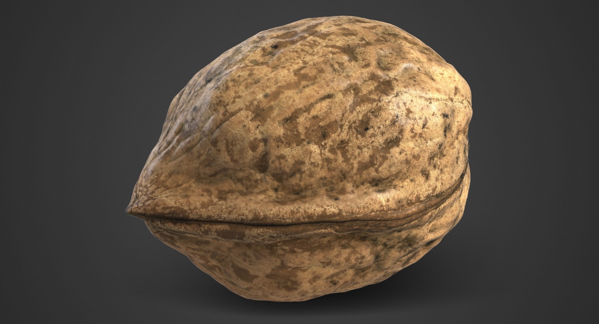 Walnut 2 3D model - TurboSquid 1220997