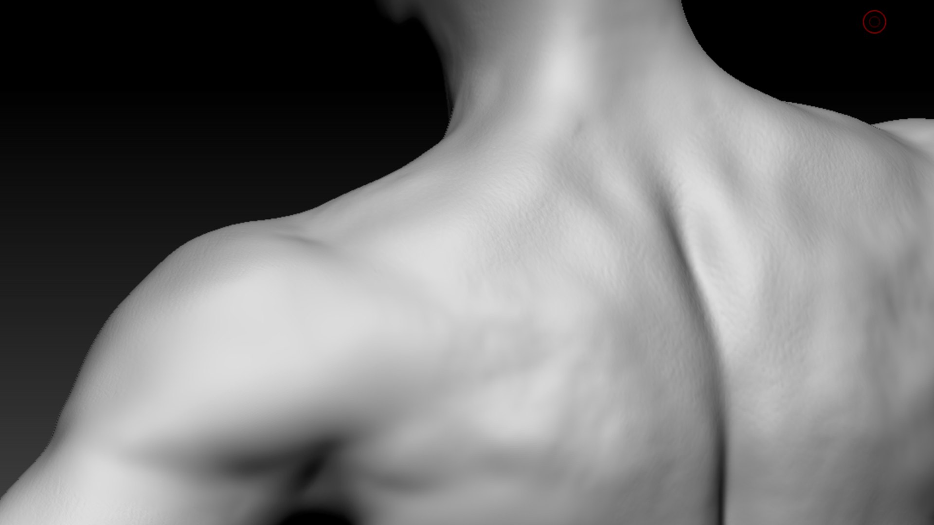 Realistic Anatomy Male Model - TurboSquid 1776167