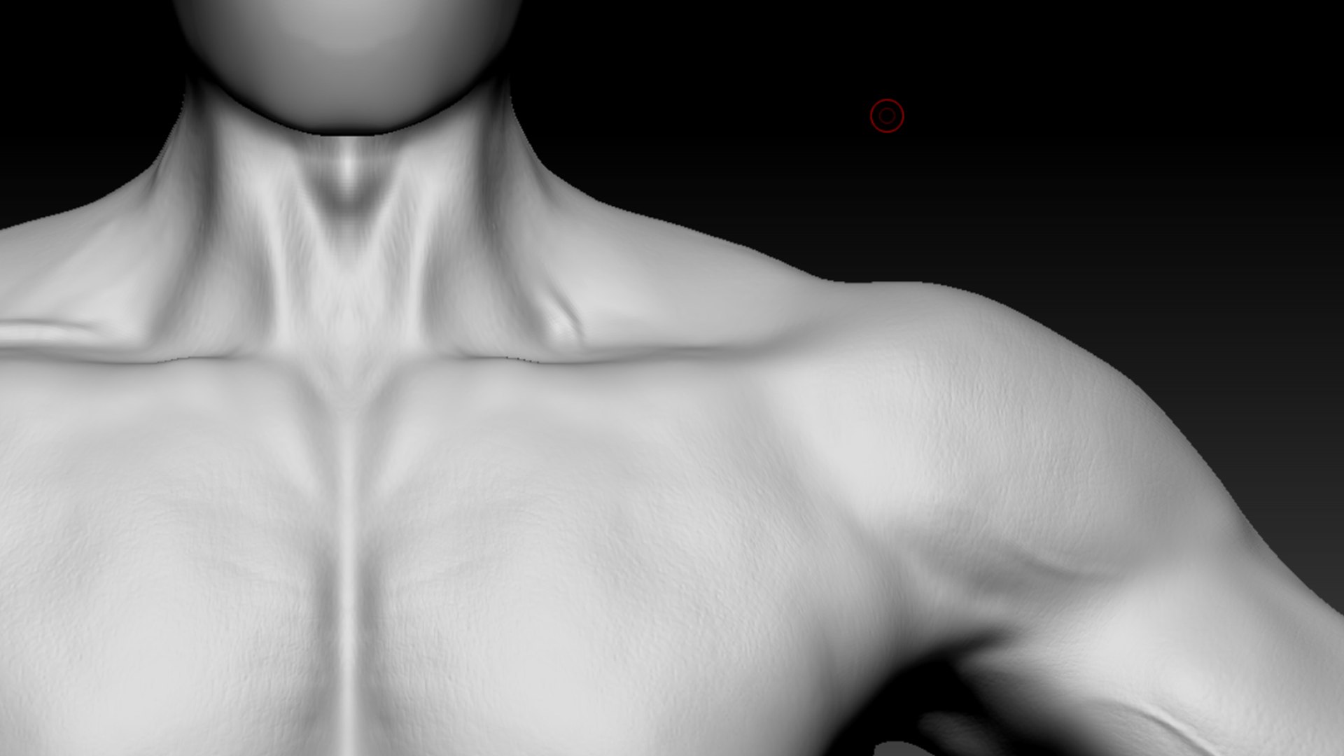 Realistic Anatomy Male Model - TurboSquid 1776167