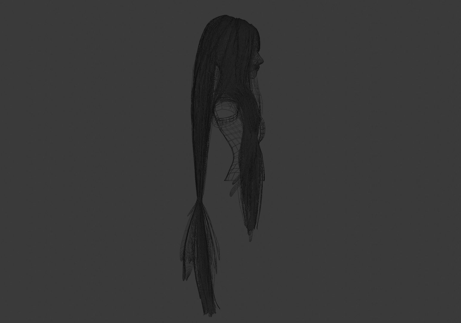 Pigtail Side Hairstyle Model - TurboSquid 1940101