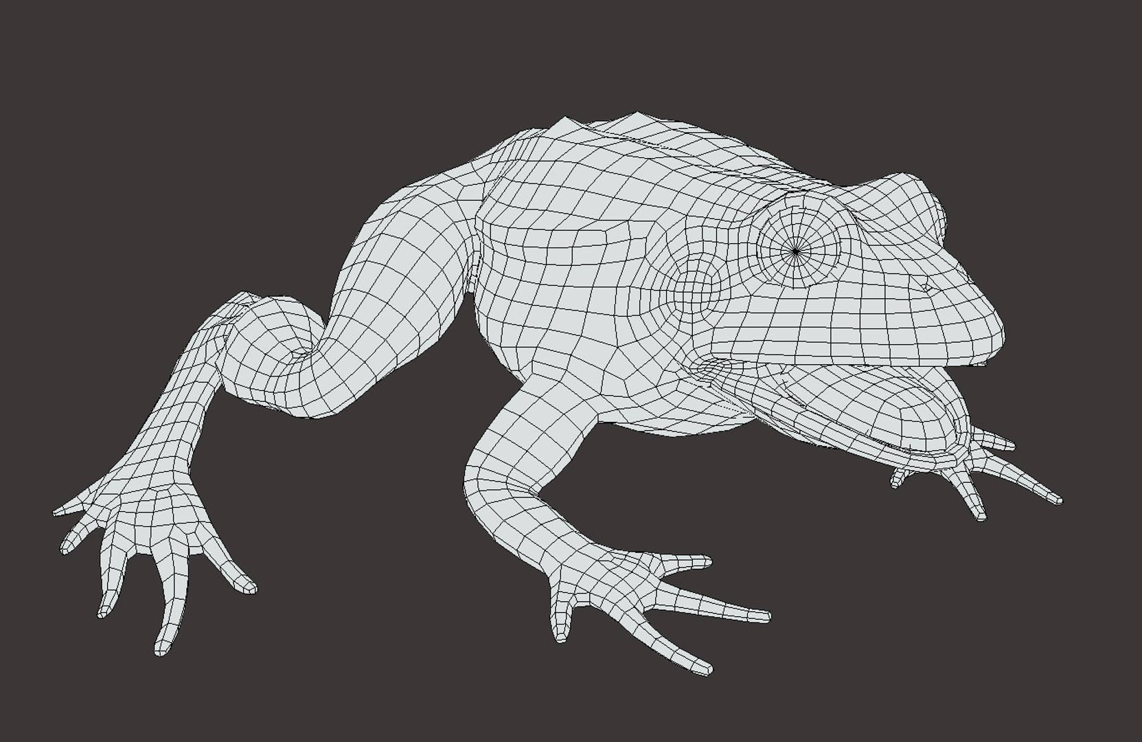 Frog Model 3D Model - TurboSquid 1897540