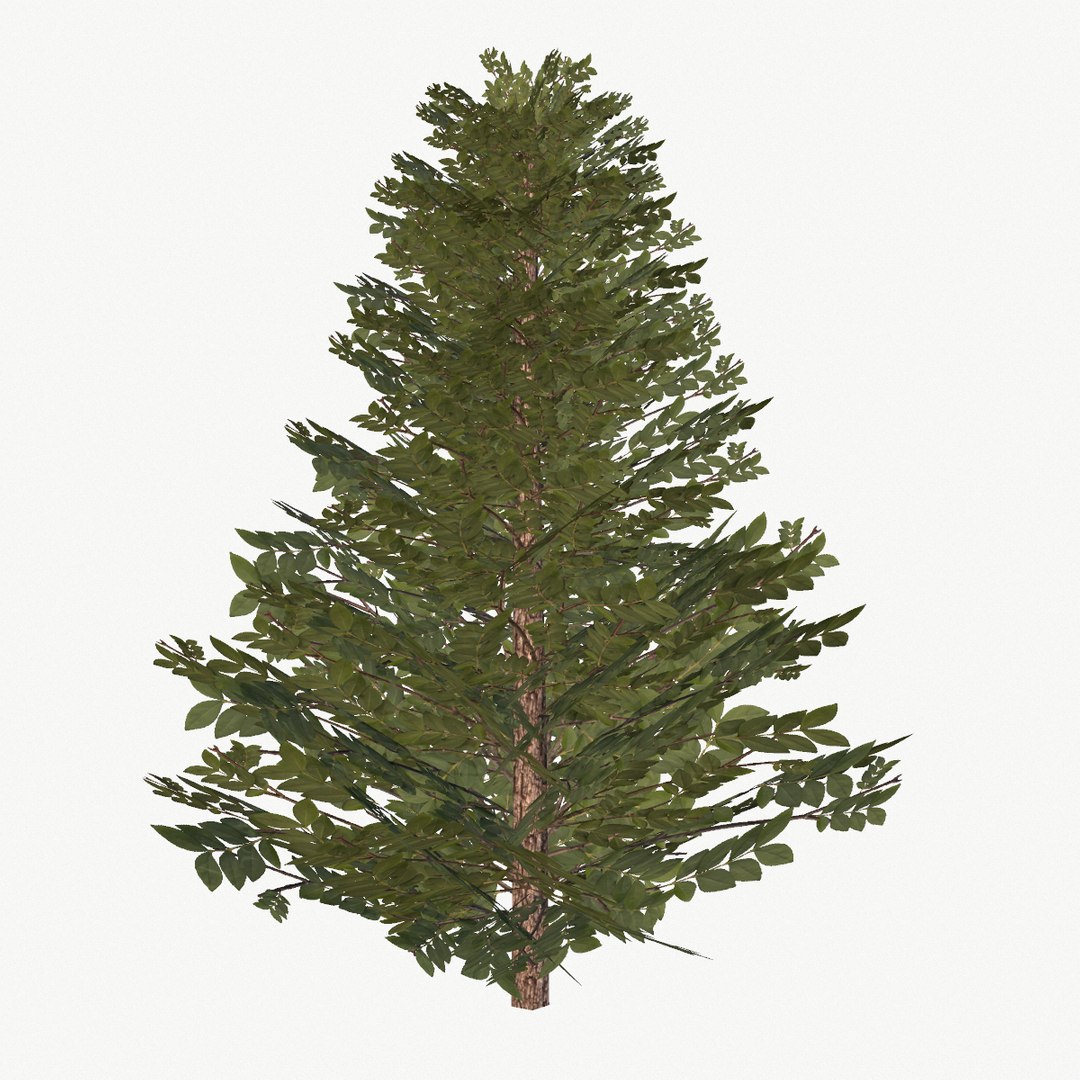3d model bush pack