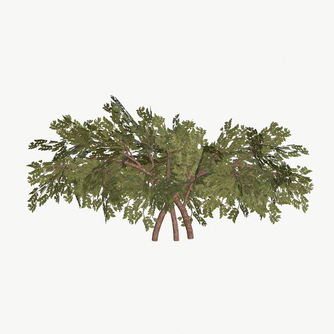 3d model bush pack