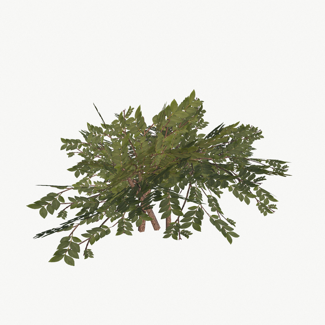 3d model bush pack