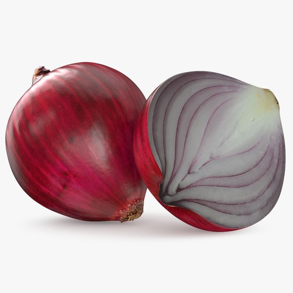 Onion 3D Models for Download | TurboSquid