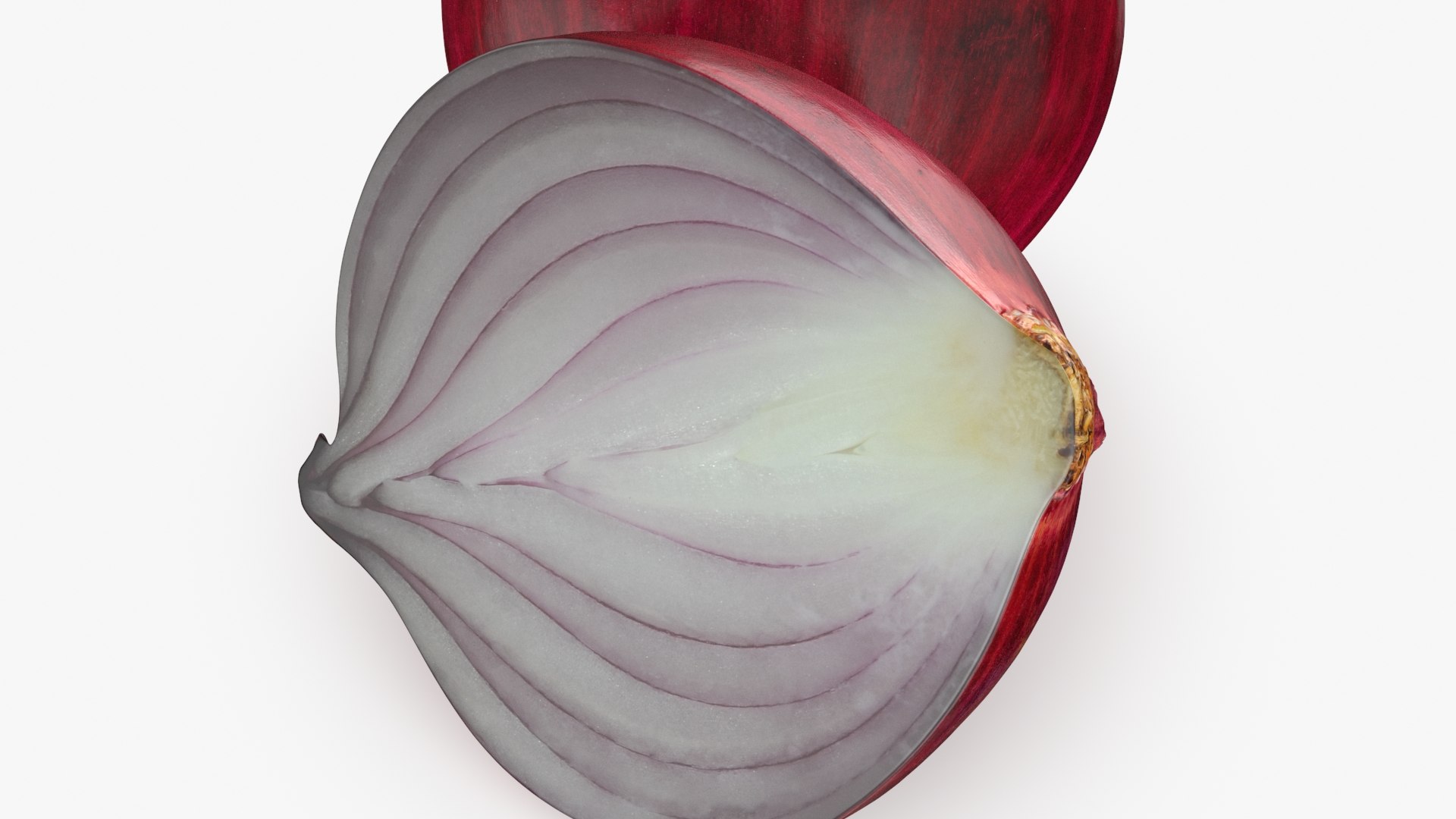 Red Onions 01 Model - TurboSquid 2147355
