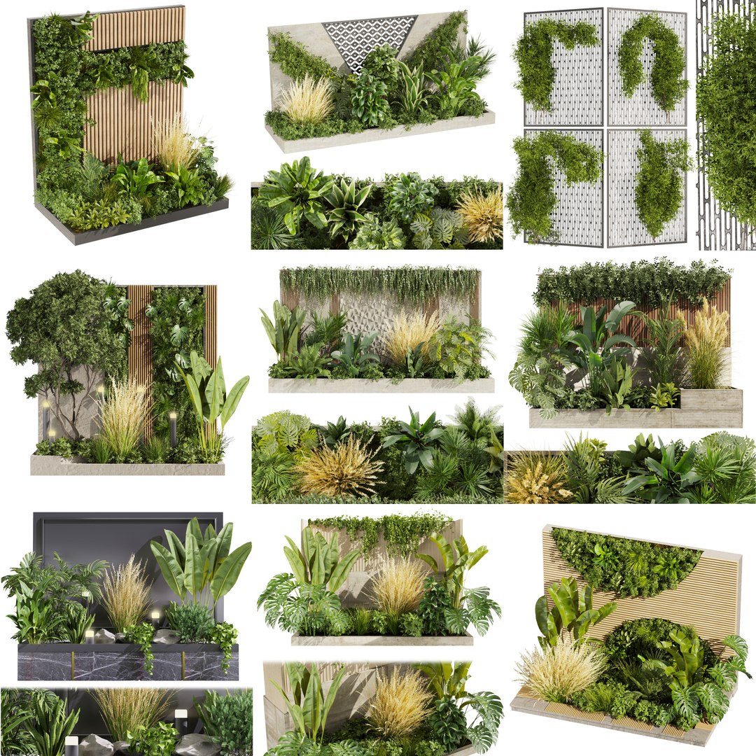 3D Collection Plant Vol 01 - Fitowall - Grass - Ertical - Garden - Palm ...