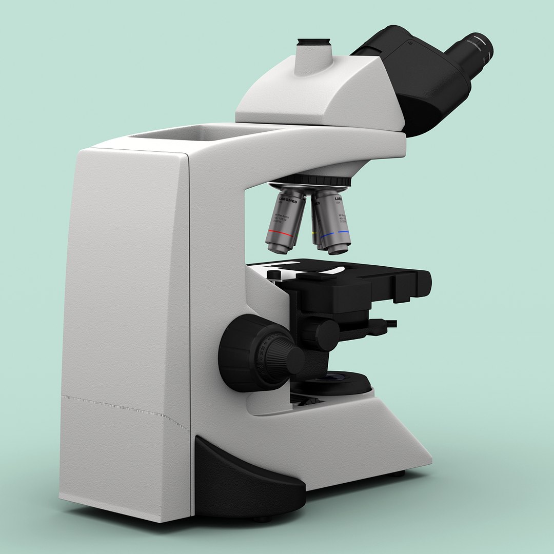 3d microscopes 3 model
