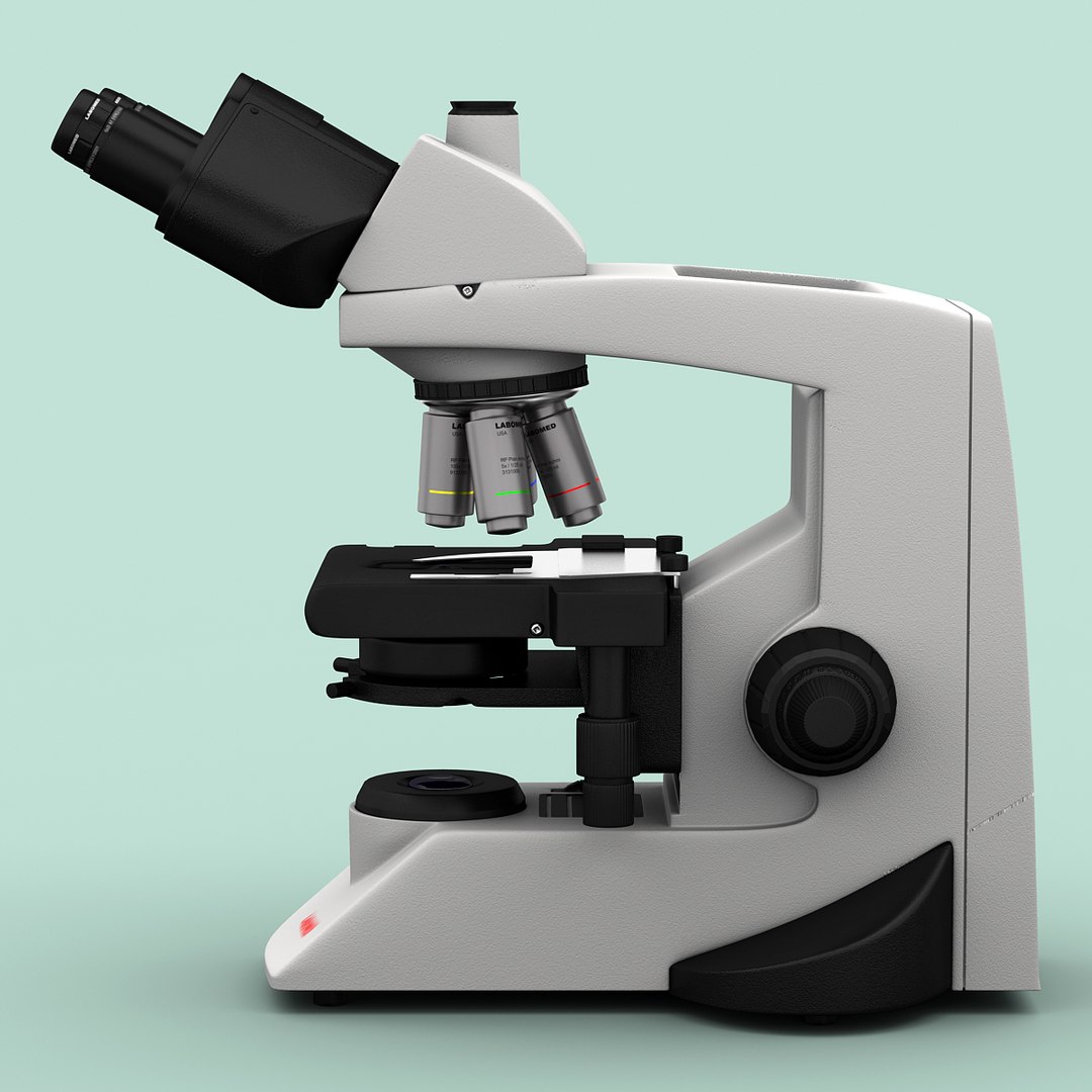 3d microscopes 3 model