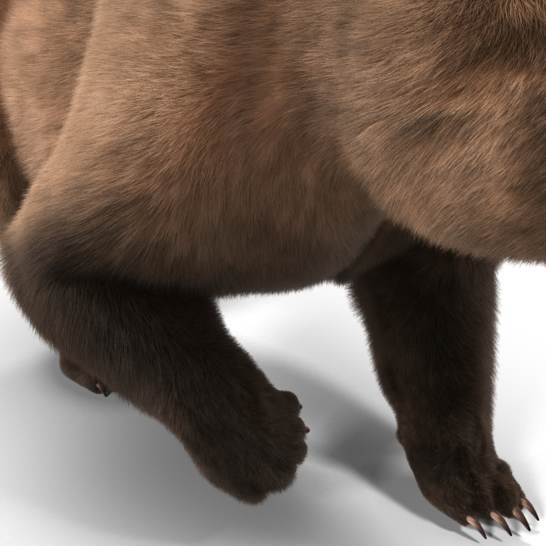 max grizzly bear pose 2