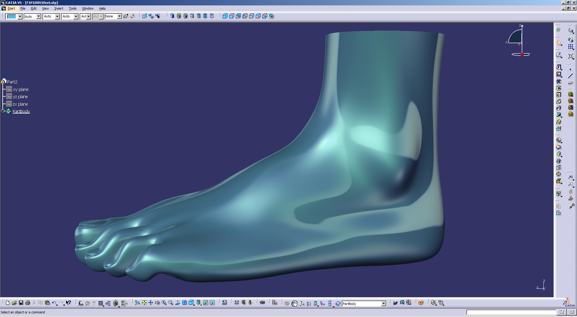 Feet Casual Woman 3D Model - TurboSquid 1298640