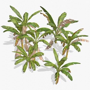 Animated Banana Tree 3D Models for Download | TurboSquid