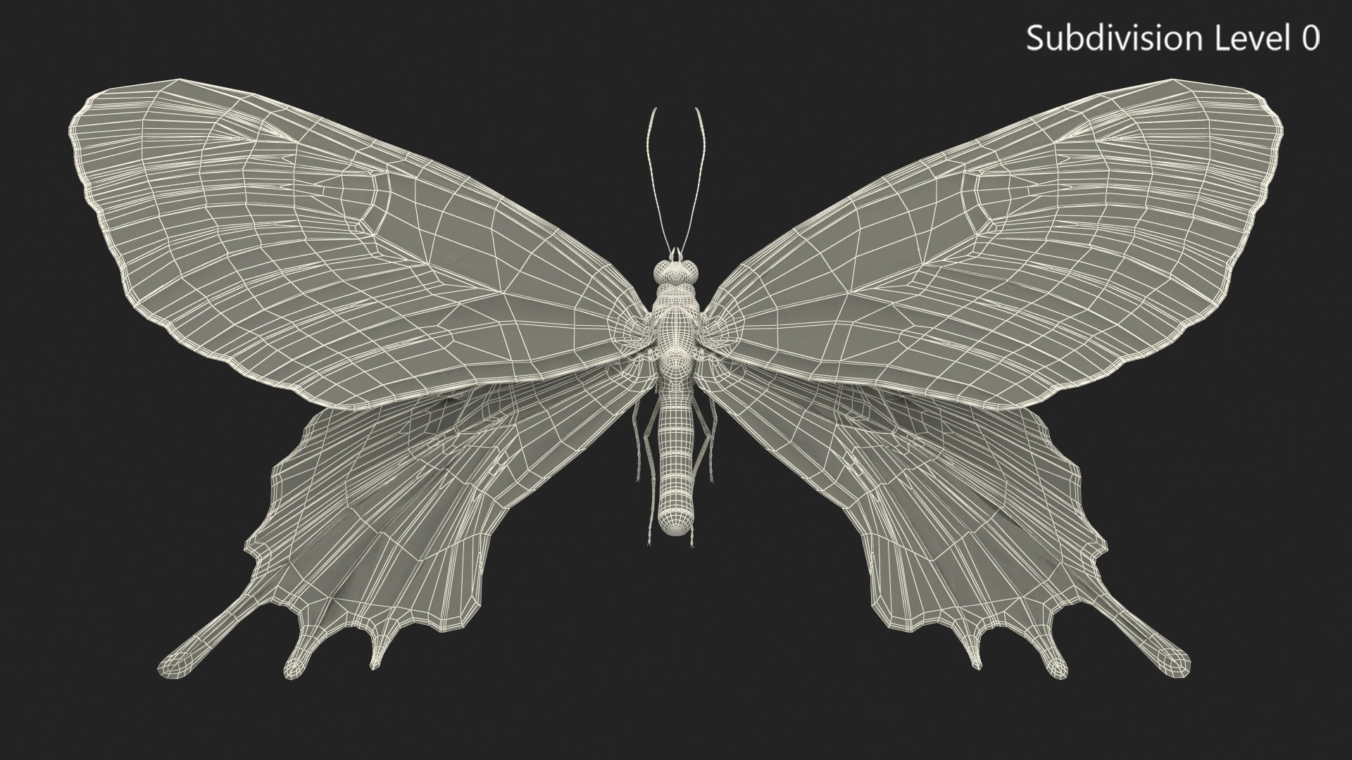 3D Animated Flight Bhutan Glory Butterfly Rigged for Maya model ...