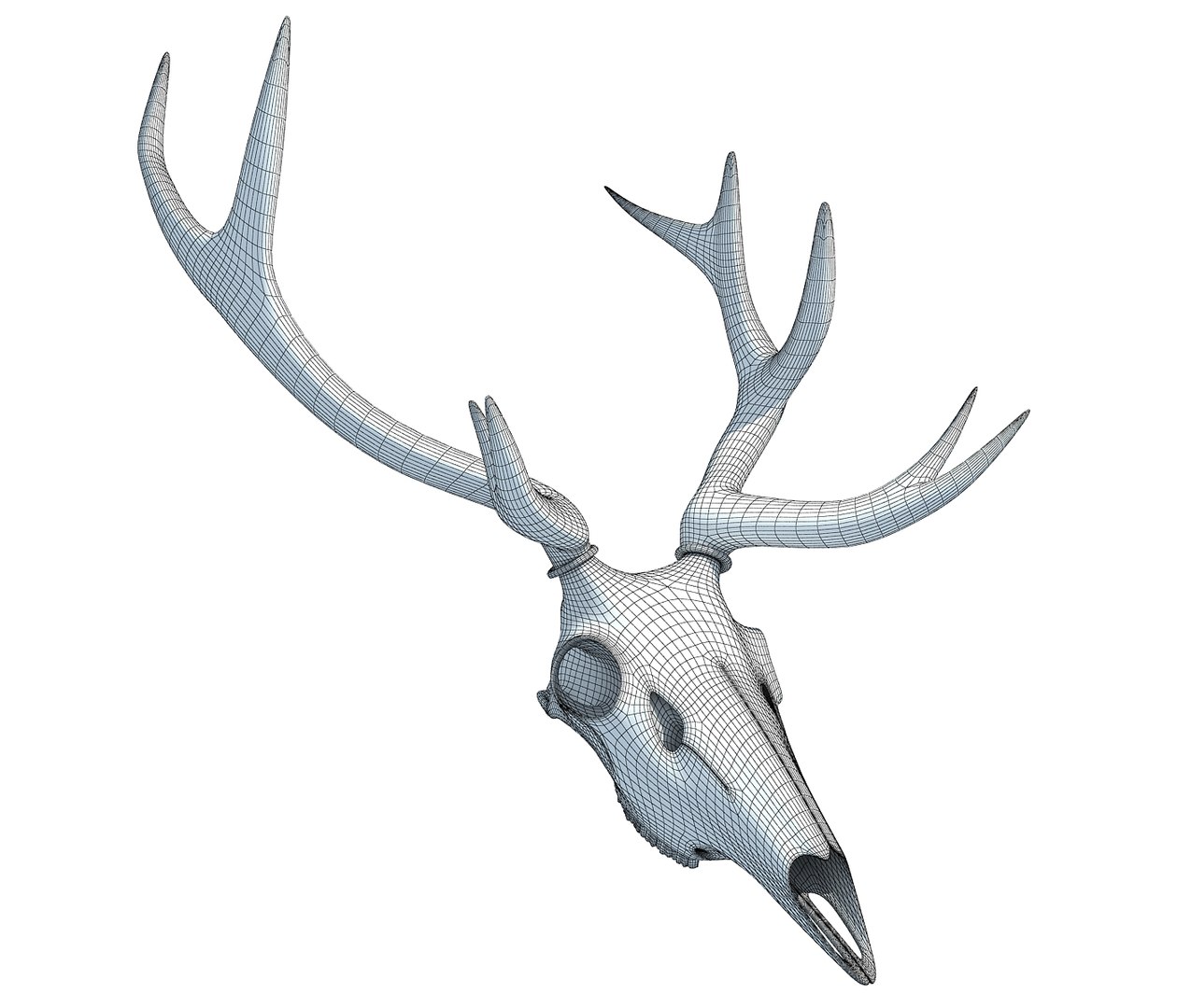 Deer Skull Model - TurboSquid 1177726