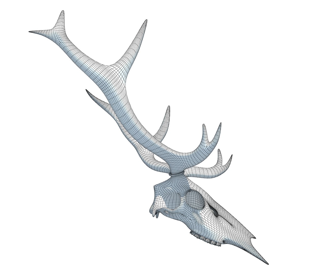 Deer Skull Model - TurboSquid 1177726