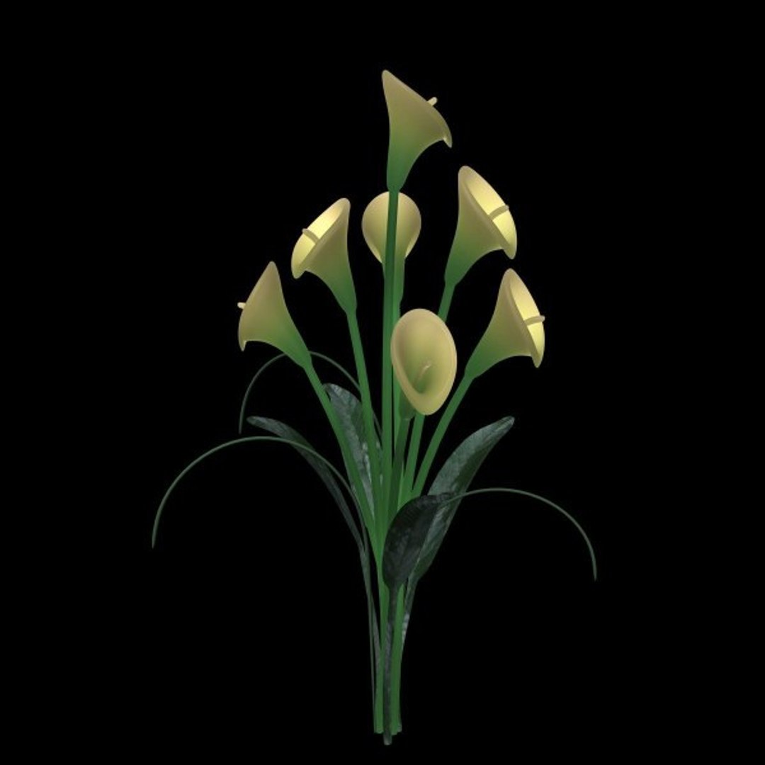 3d Model Calla Lily