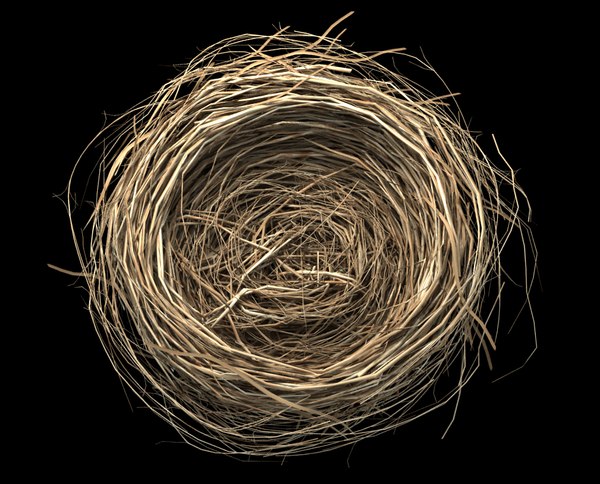 Free 3D Birds-Nest Models | TurboSquid