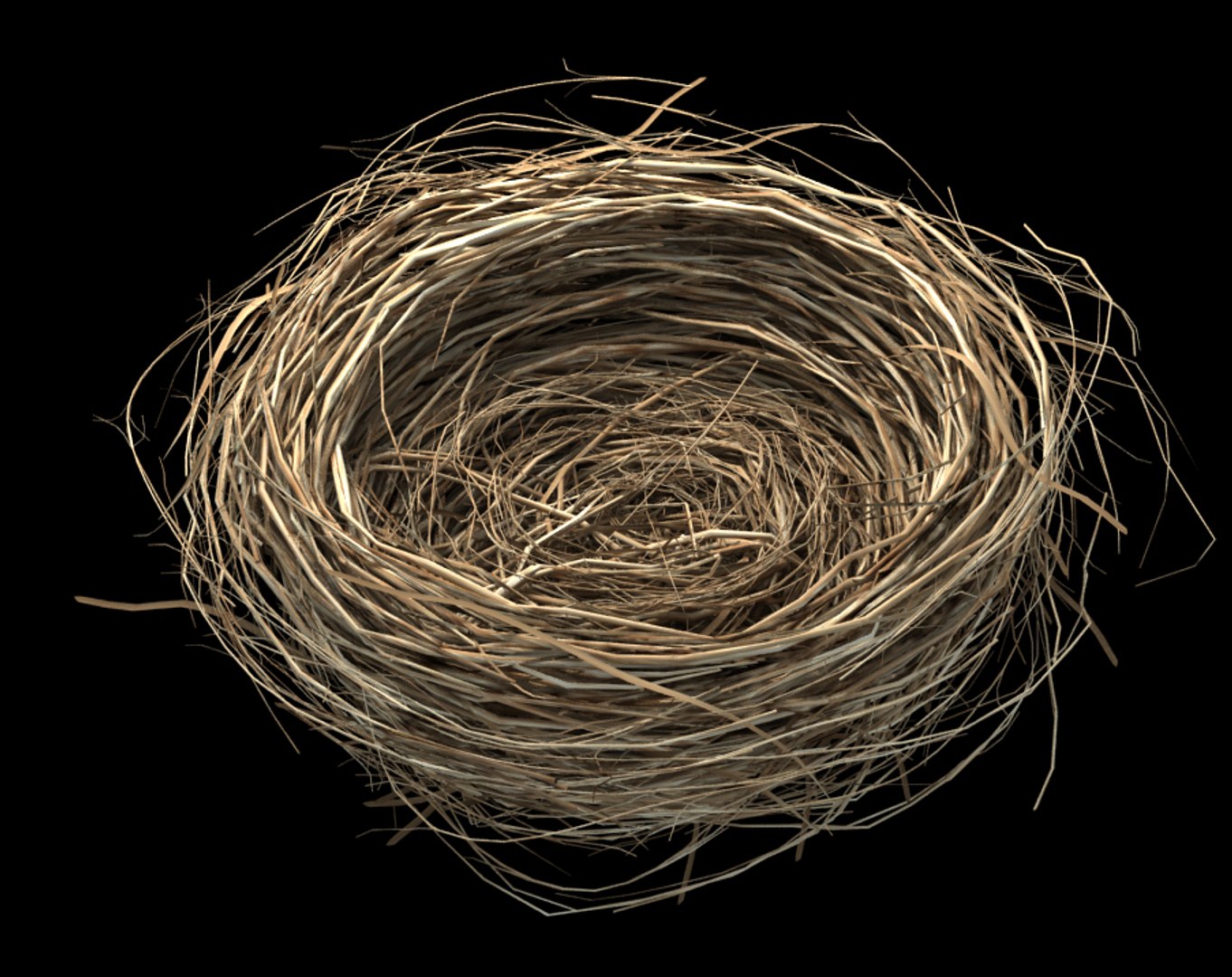 Nest Obj