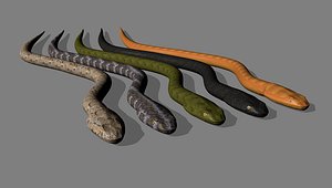Snake 3D Models for Download | TurboSquid