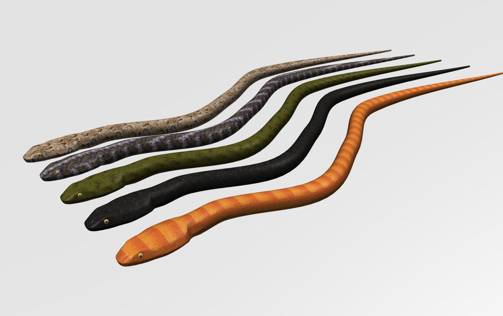 snake 3d c4d
