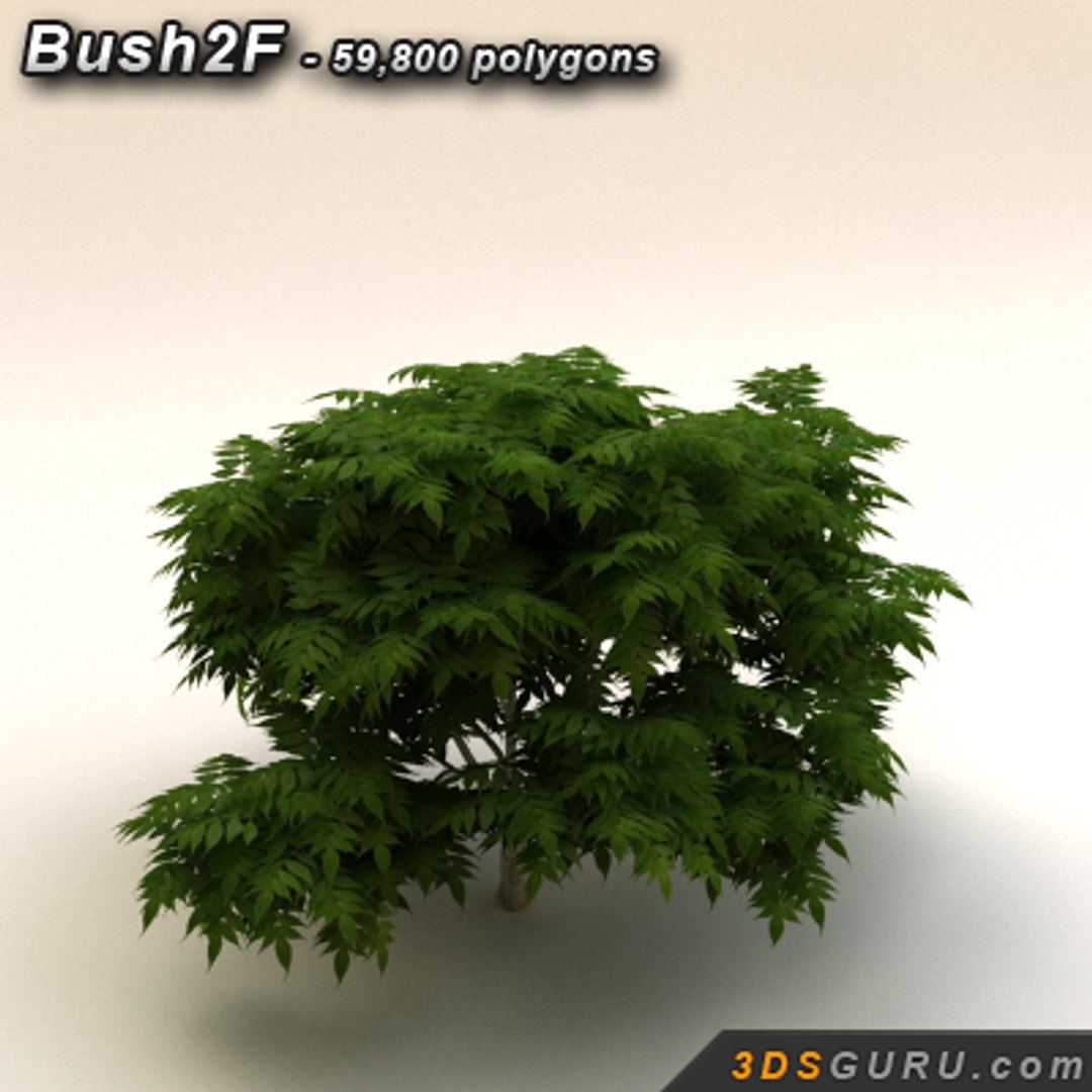 3d shrubs leaf model