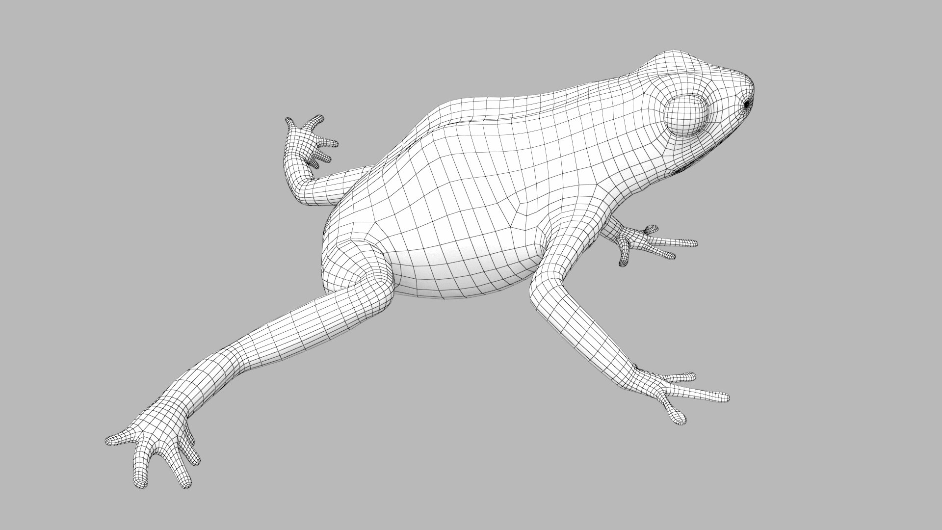 Strawberry Poison Dart Frog 3D Model - TurboSquid 1376188