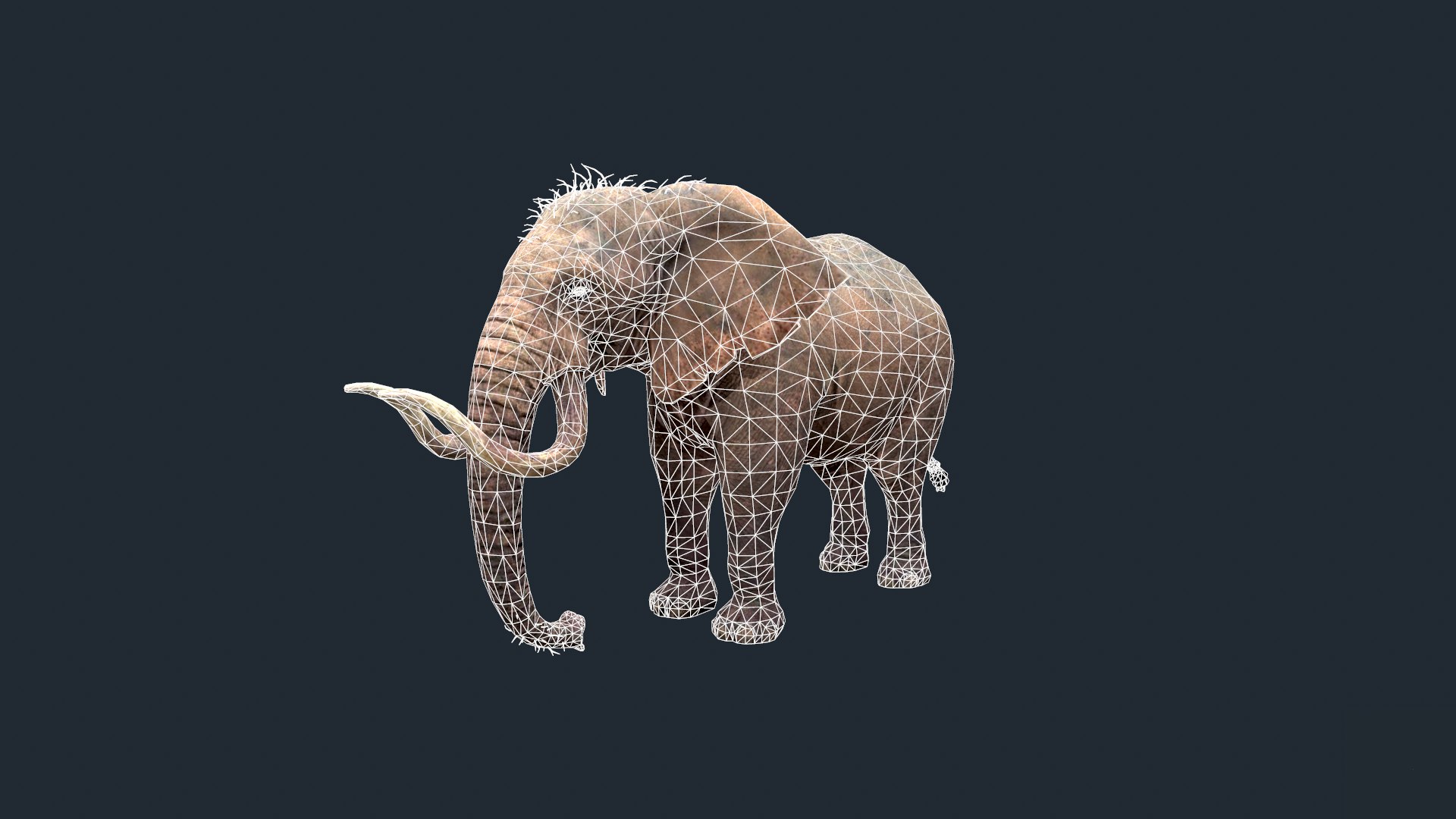 Elephant Model - TurboSquid 1996379
