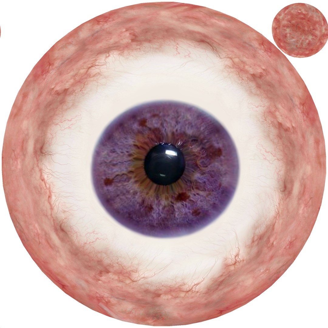 Violet Eye Model - TurboSquid 1344761