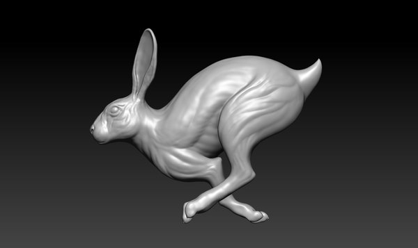 Rabbit running 3D - TurboSquid 1686601
