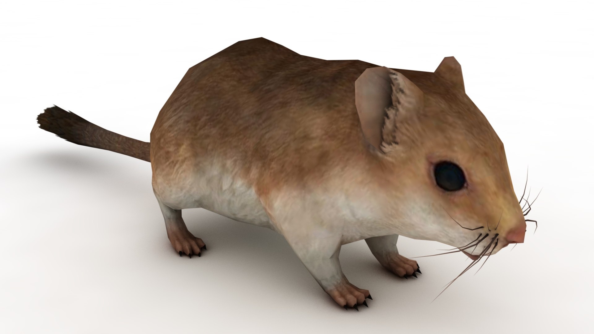 Cartoon Mouse Model - TurboSquid 2382332