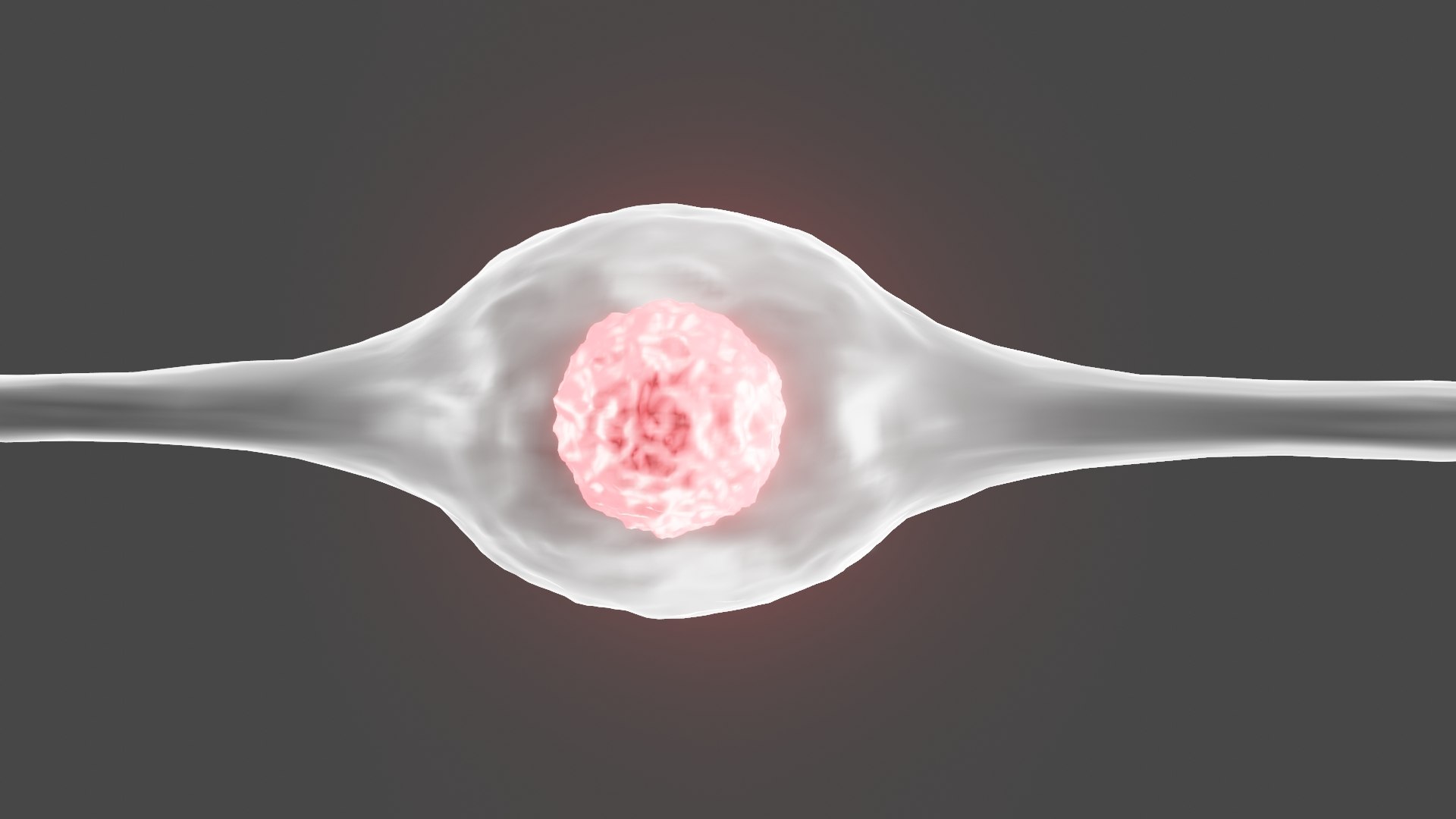 Bipolar Neuron Model - TurboSquid 2052416