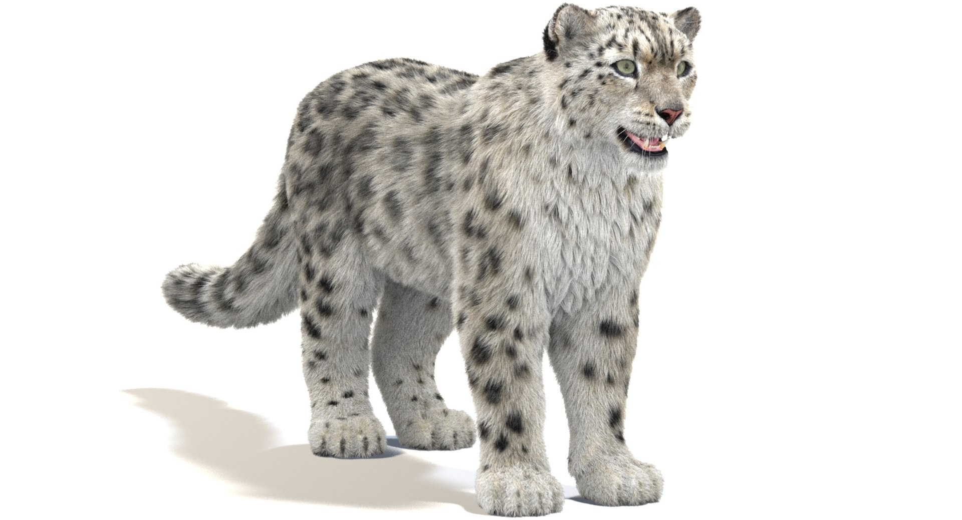 Snow Leopard Furry