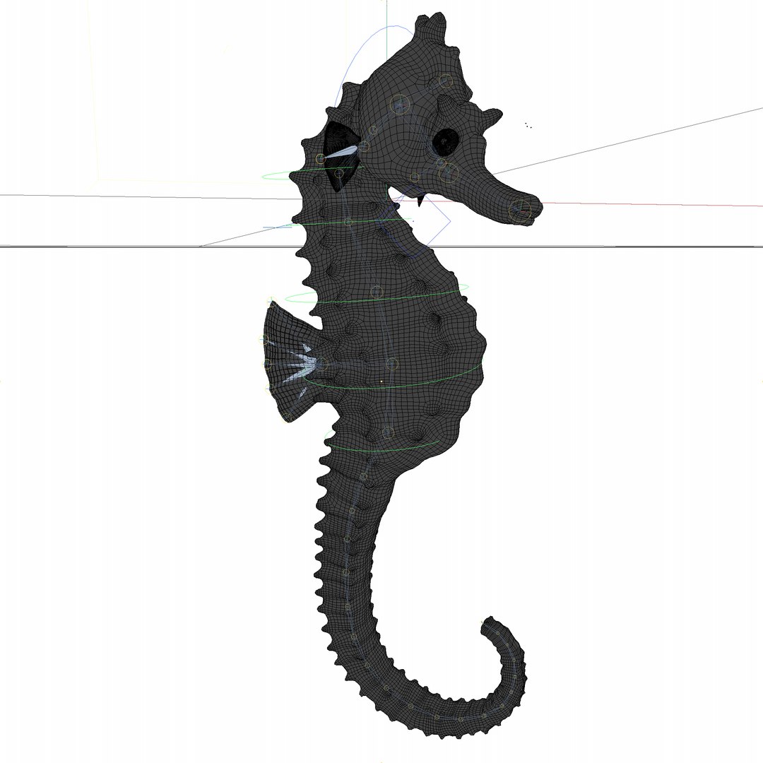 3D SEA HORSE - RIGGED Model - TurboSquid 1813285