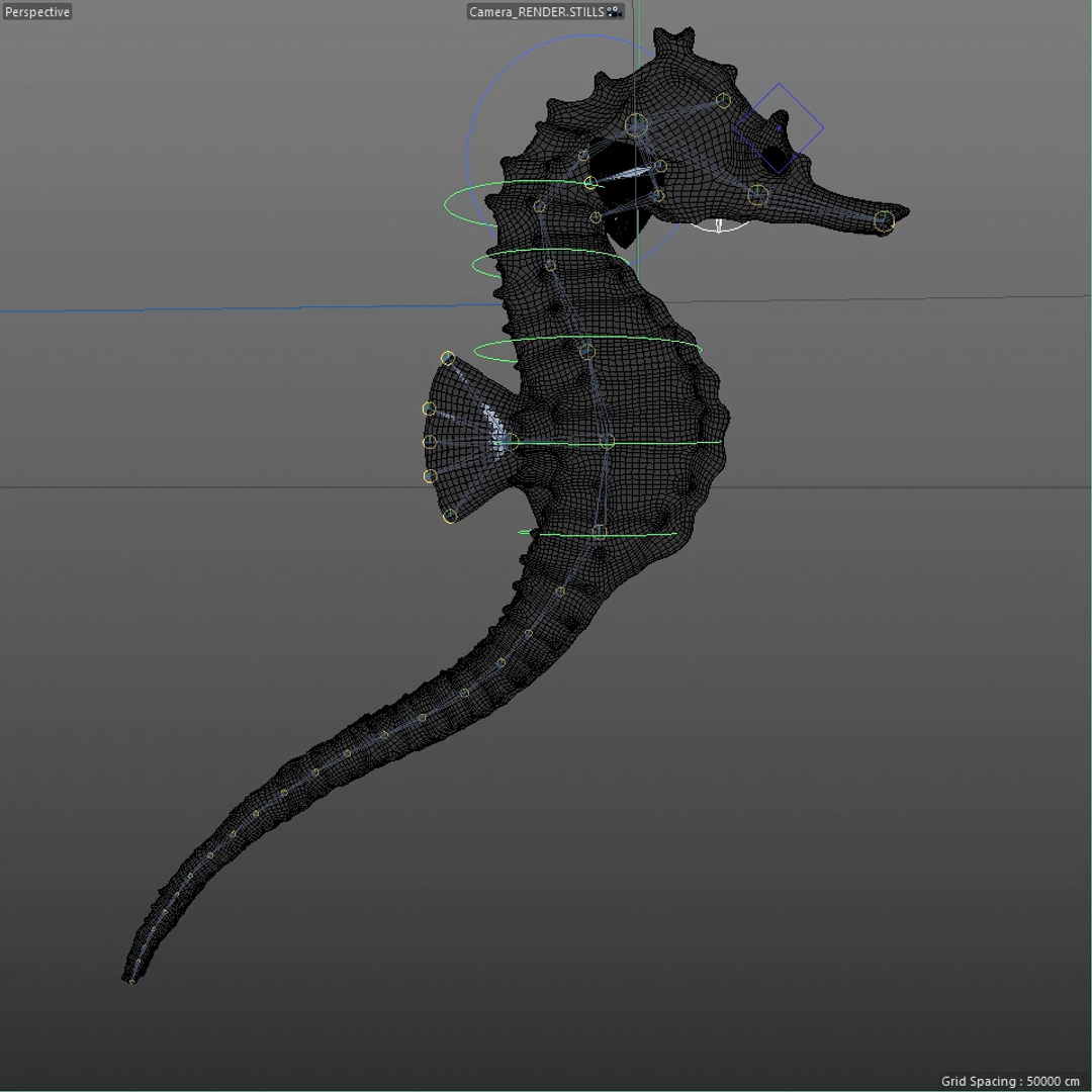3D SEA HORSE - RIGGED Model - TurboSquid 1813285