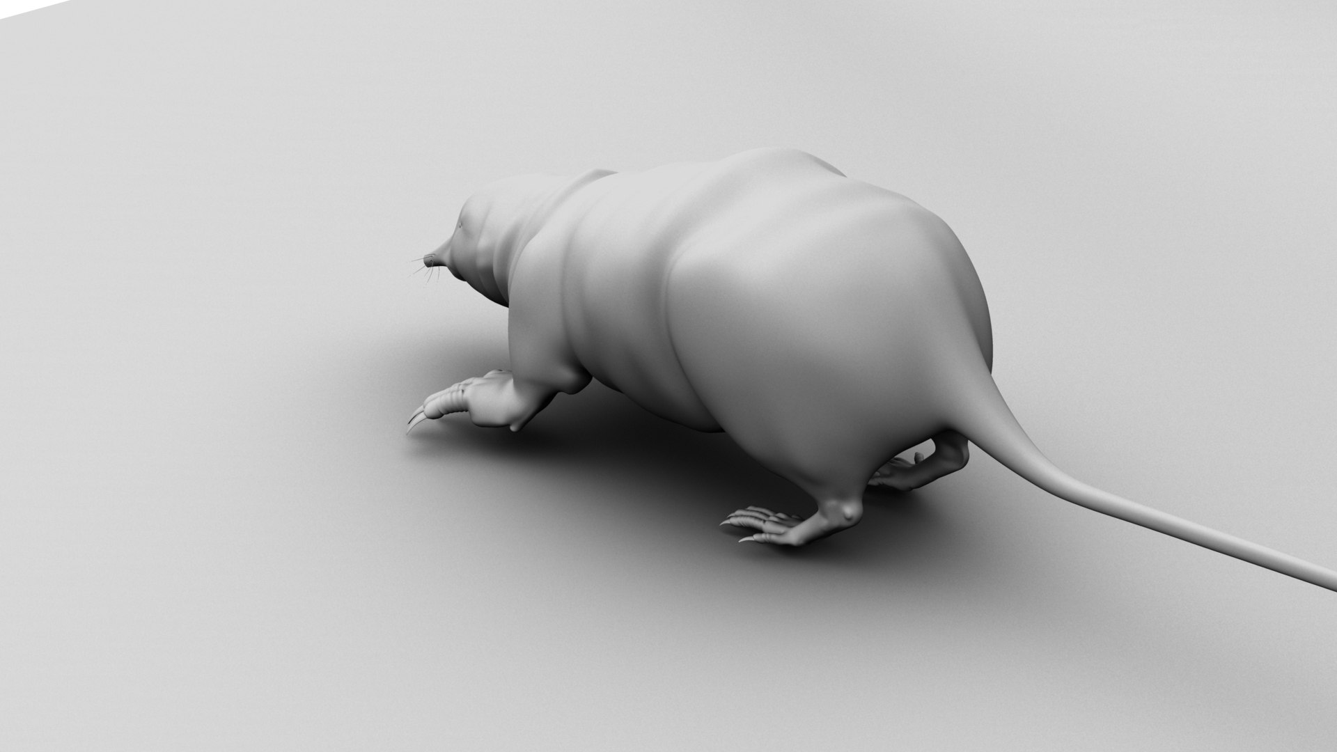 Mole 3D - TurboSquid 1749148