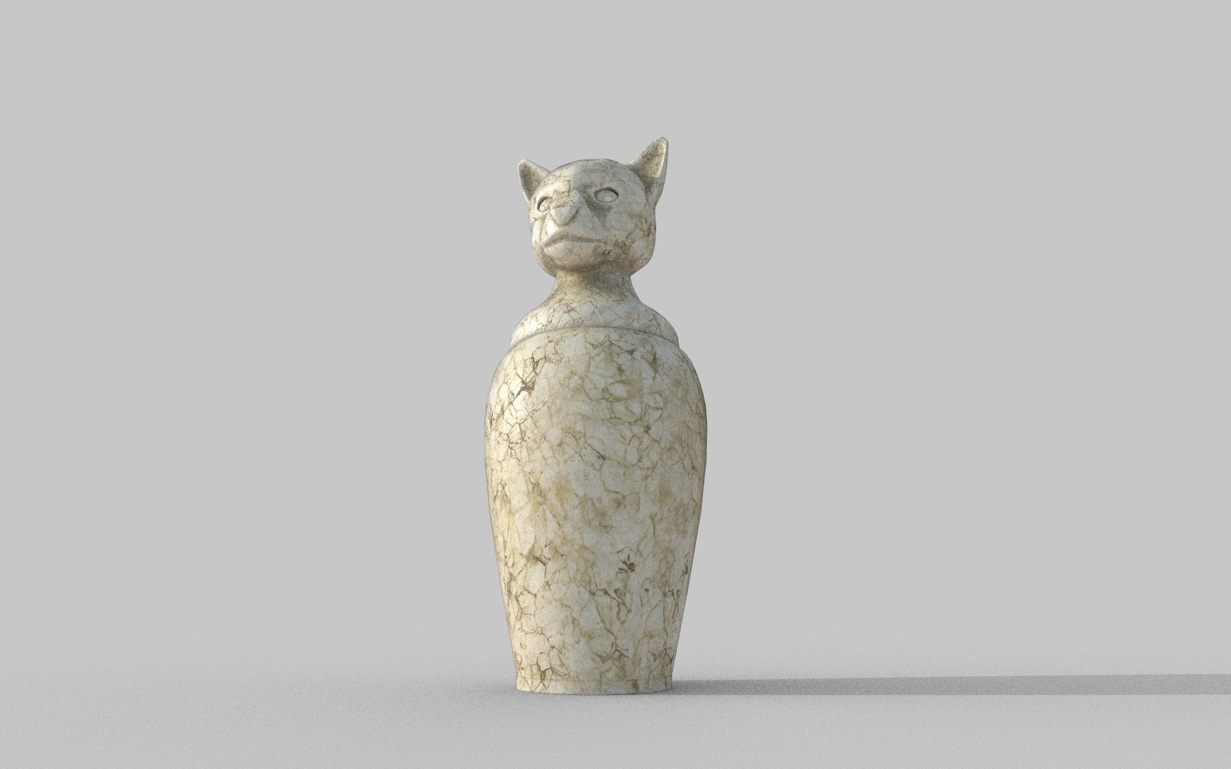 3D Organ Cat - TurboSquid 1700353