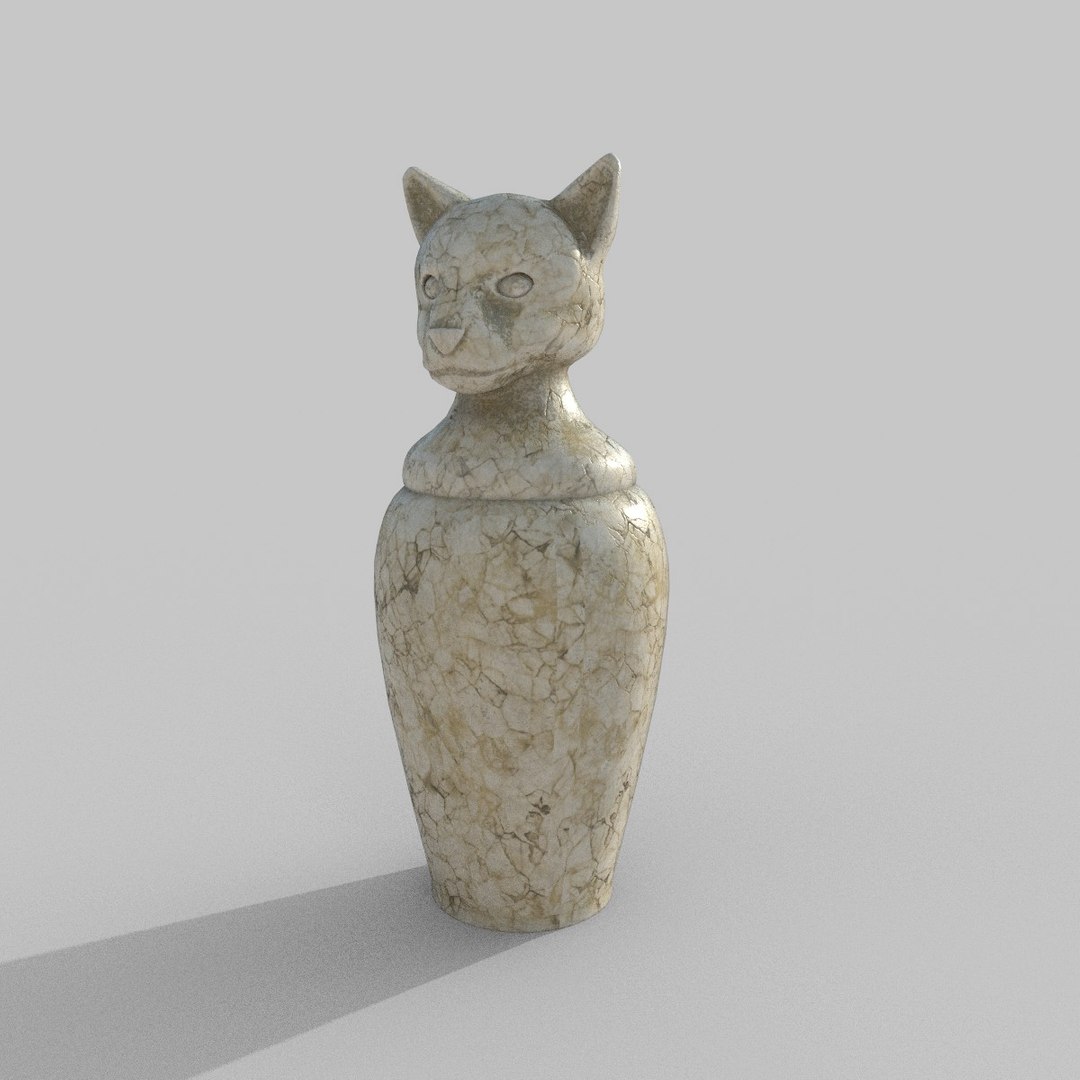 3D Organ Cat - TurboSquid 1700353