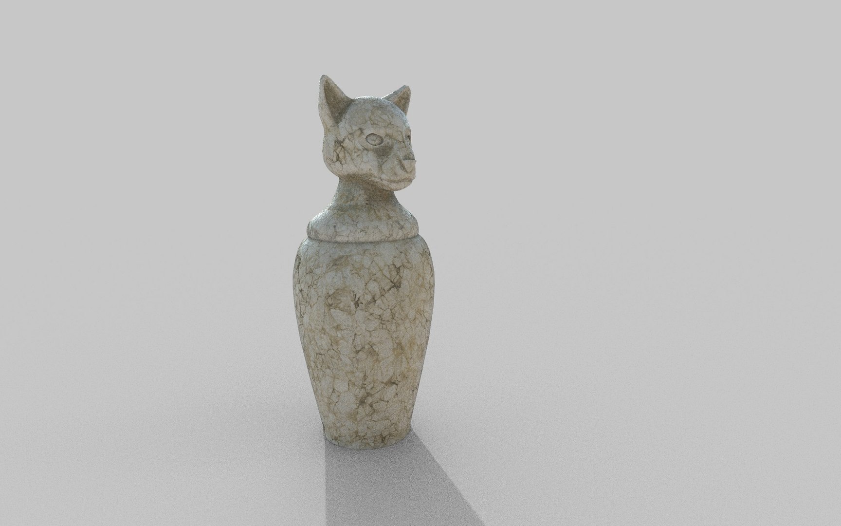 3D Organ Cat - TurboSquid 1700353