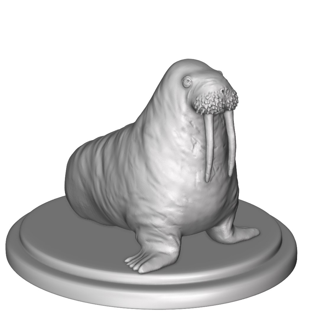 Walrus Sculpture Model - TurboSquid 1160760