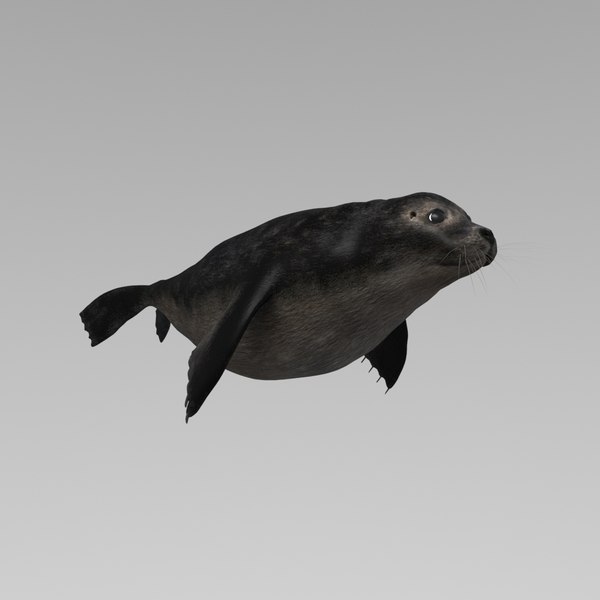 max squid realistic animation