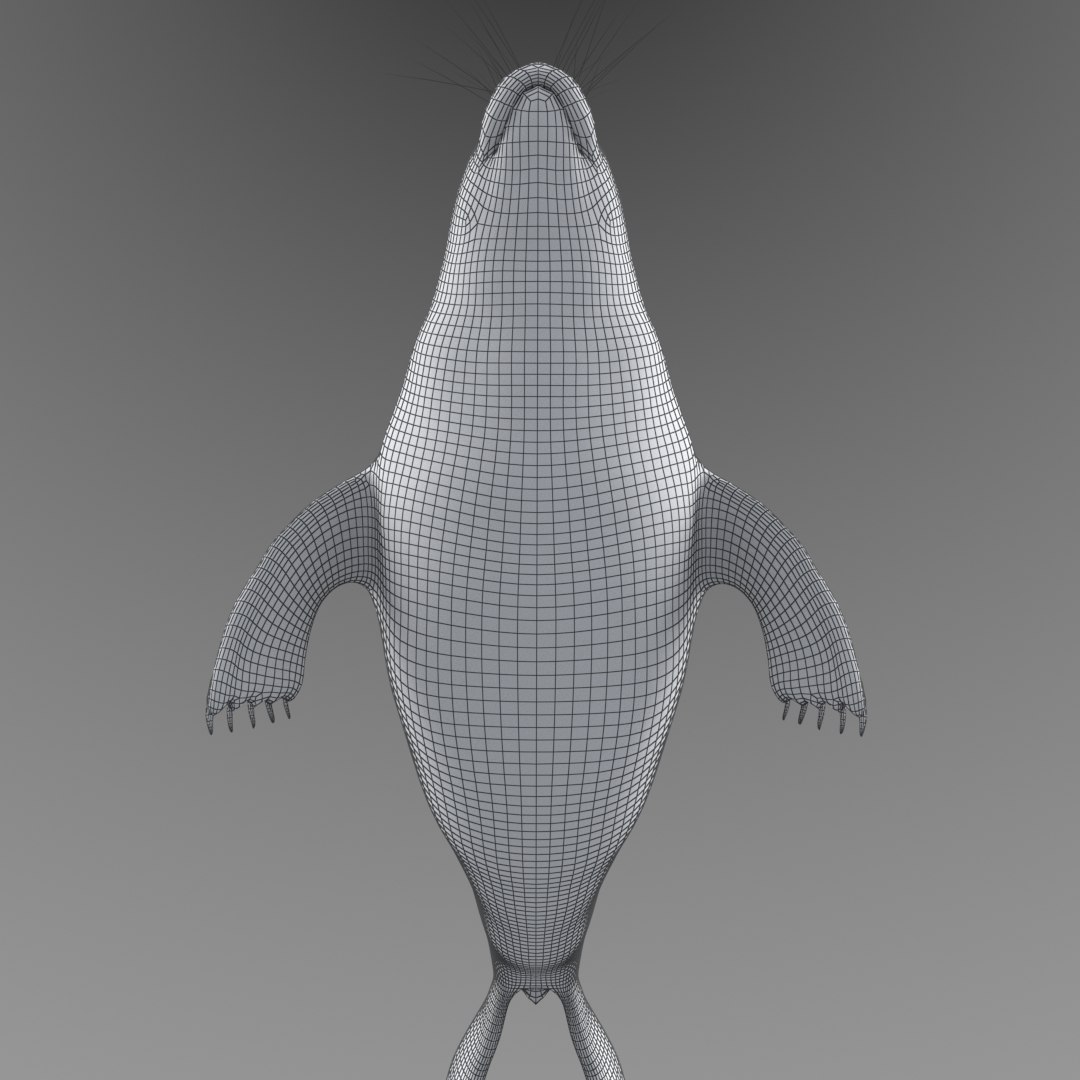 Seal Animation Rigging 3D Model - TurboSquid 1543688