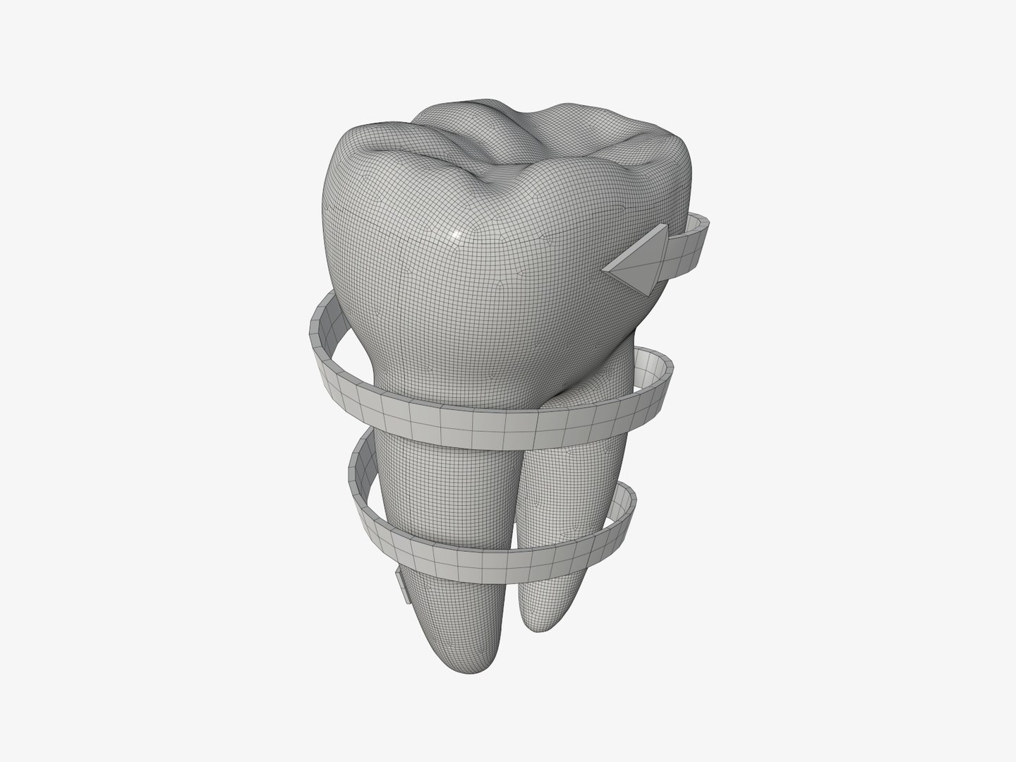 Tooth Molar Arrow 3D Model - TurboSquid 1474482
