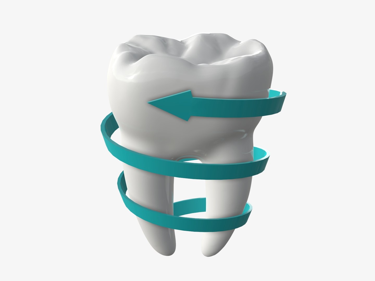 Tooth Molar Arrow 3D Model - TurboSquid 1474482