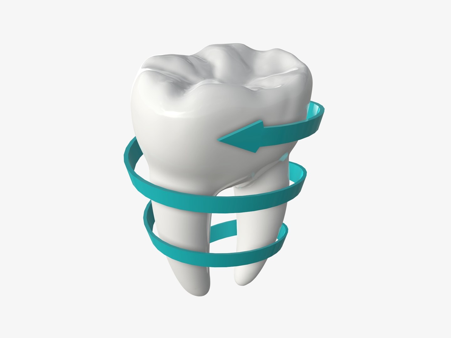 Tooth Molar Arrow 3D Model - TurboSquid 1474482