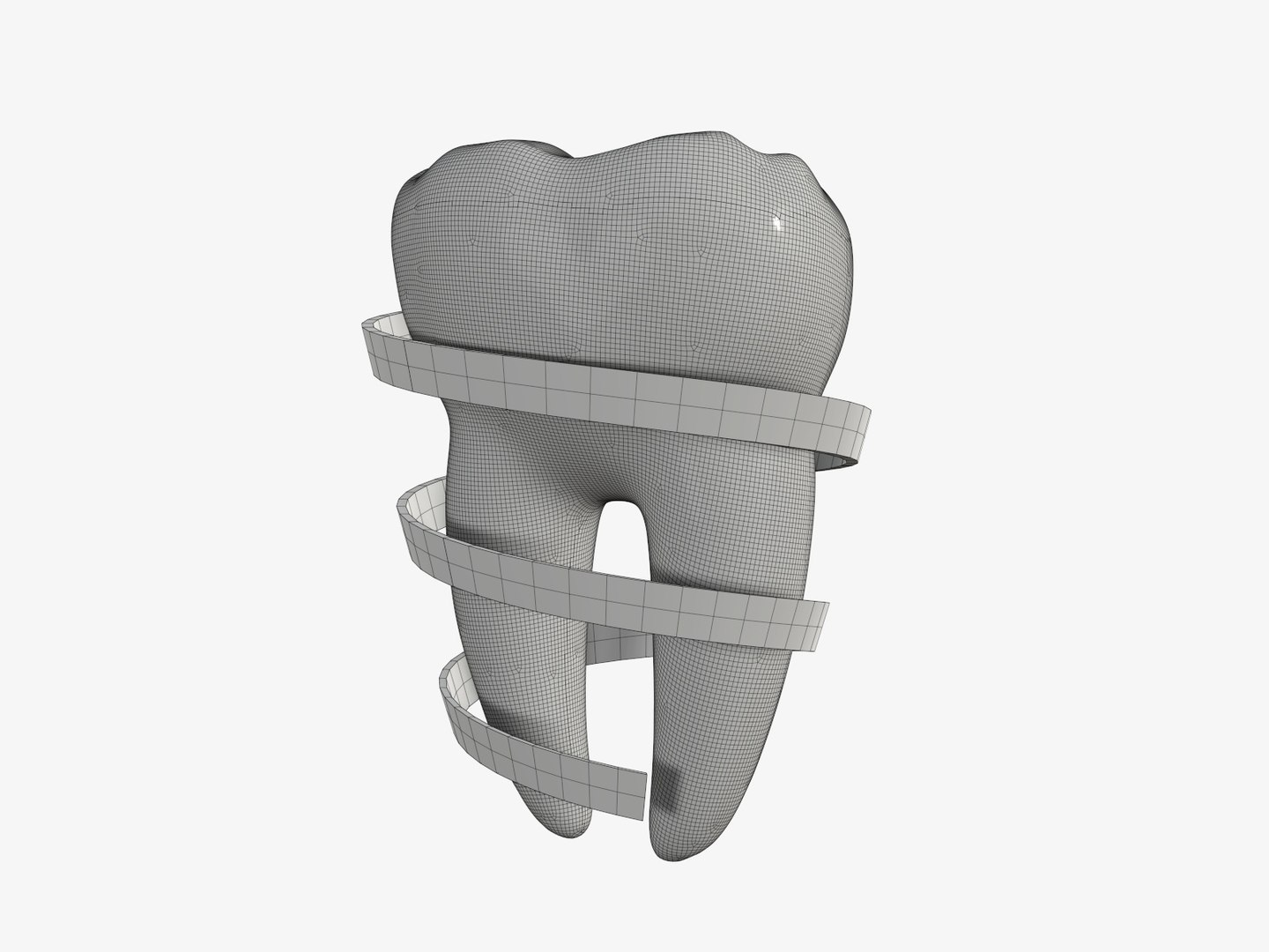 Tooth Molar Arrow 3D Model - TurboSquid 1474482