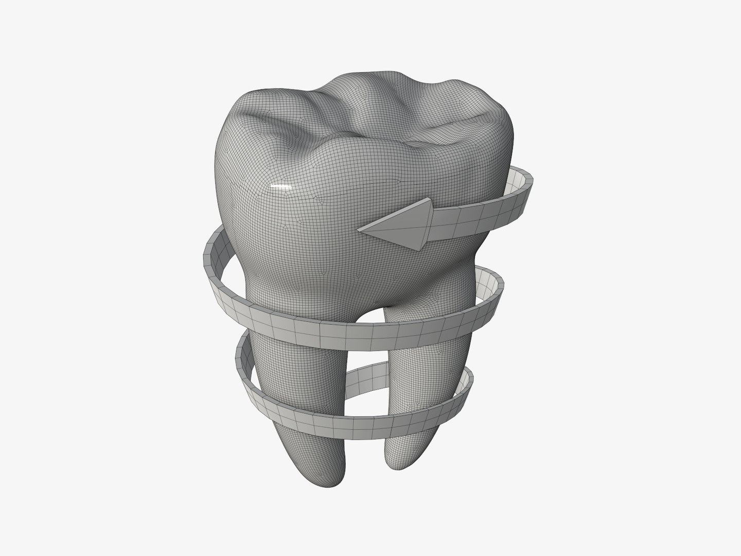 Tooth Molar Arrow 3D Model - TurboSquid 1474482